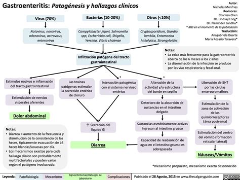 Gastroenteritis Patogénesis Y Hallazgos Clínicos Calgary Guidecalgary Guide