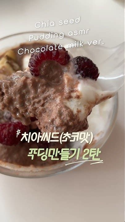 치아씨드푸딩 2탄 초코맛 설명편🤎 Chiapudding Chiaseedpudding Chiaseedsforweightloss 치아씨드 치아씨드푸딩