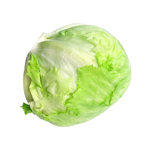 新鲜球生菜500g西生菜圆生菜新鲜蔬菜西餐汉堡用沙拉色拉食材虎窝淘