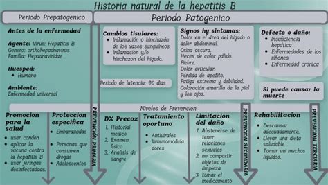 Hepatitis B Genially