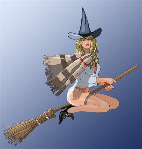 Download Broom Female Witch Royalty Free Stock Illustration Image