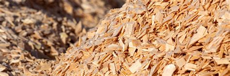 Which Packaging Substrates Are The Most Sustainable Bain And Company