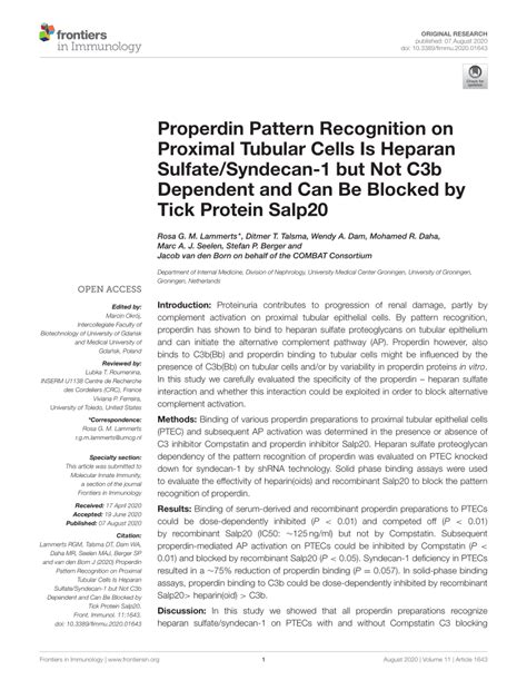 Pdf Properdin Pattern Recognition On Proximal Tubular Cells Is Heparan Sulfatesyndecan 1 But