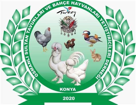 Хүрээ халтар туулай тахиа тагтаа сонирхогчид Facebook