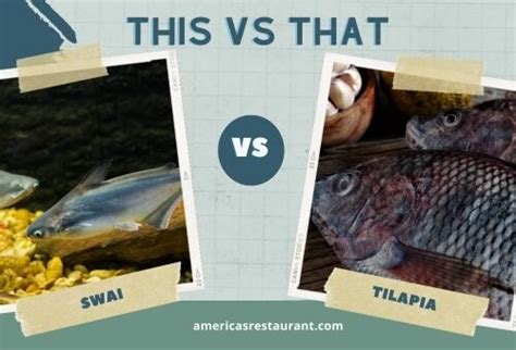 Swai Vs Tilapia Whats The Difference 2026