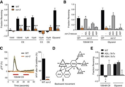 Neuromodulatory State And Sex Specify Alternative Behaviors Through
