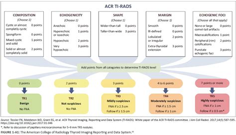 American College Of Radiology Thyroid Imaging Reporting And Data System