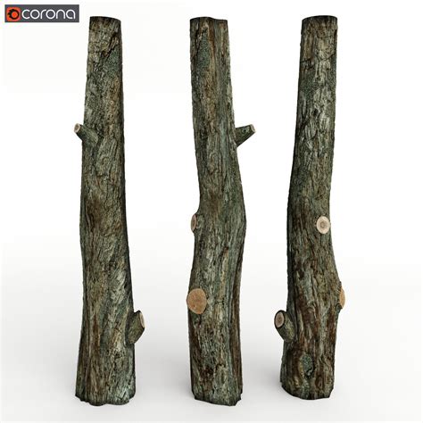 Tree Trunk 3d Model Cgtrader
