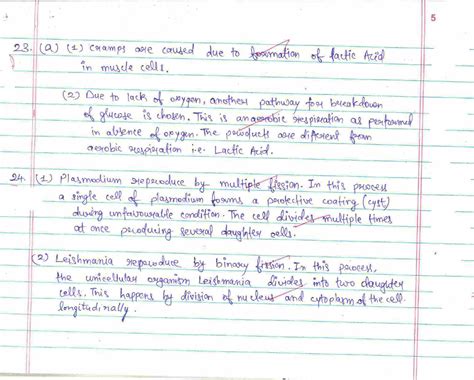 Cbse Topper Answer Sheet Class 10 Science Model Answer Paper By Topper