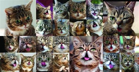 Lil Bubs Lil Book Good Job Bub Canadian Living