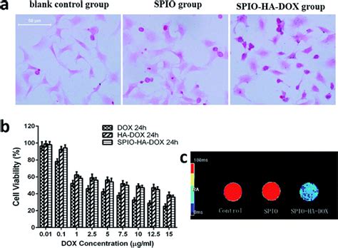 Surface Functionalization Of Superparamagnetic Nanoparticles By An Acid