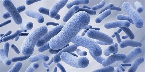 Ensuring Cosmetic Safety Tackling Pluralibacter Gergoviae And