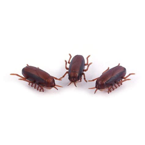 Cockroach Toy Battery Operated Running Roach