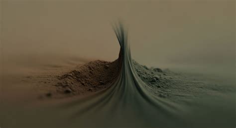 Biological Contamination → Term