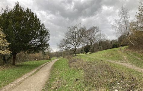 Riddlesdown Common 2 © Stephen Richards Cc By Sa 2 0 Geograph