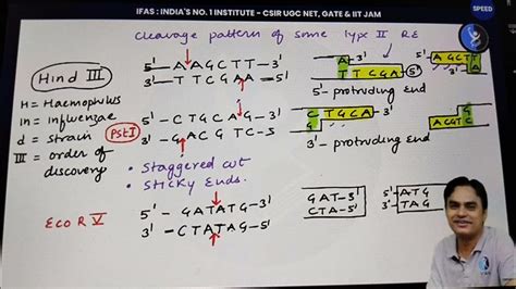method in biology lecture 4b youtube