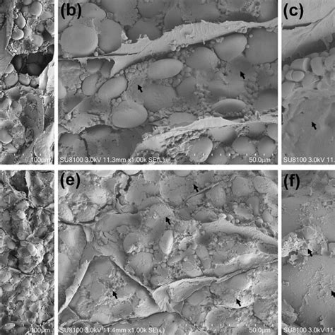 Single Grain Hardness Index Hi Distribution Of Wild Type And Editing