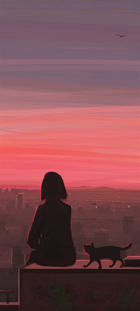 1840x4089 Resolution Anime Sunset Hd Alone With Cat 1840x4089