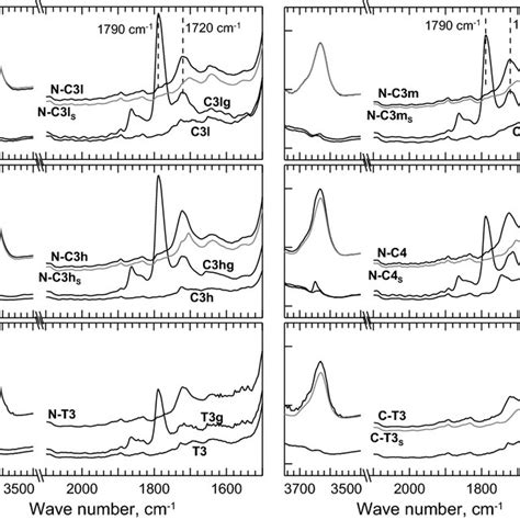 Elastic Moduli G′ And Dynamic Viscosity η′ Of Polymers And