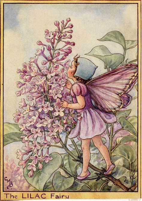 Flower Fairies Of The Spring By Cicely Mary Barker Bpopayments