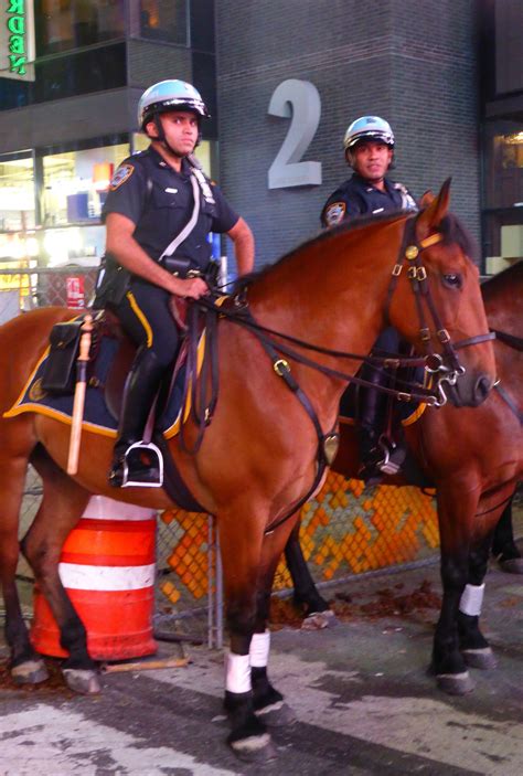 Could U Fucking Not Imgur