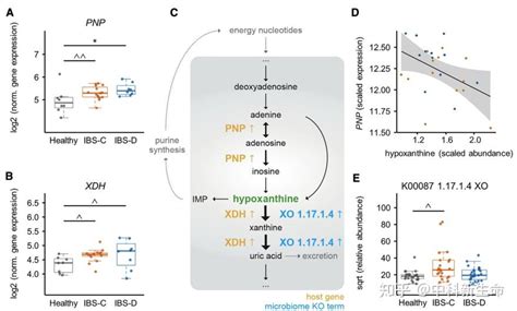 Cell新发！纵向多组学揭示肠易激综合征（ibs）致病新机制 知乎