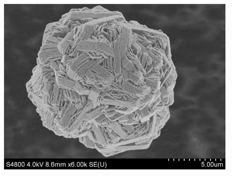 Nickel Cobalt Manganese Hydroxide Precursor And Preparation Method