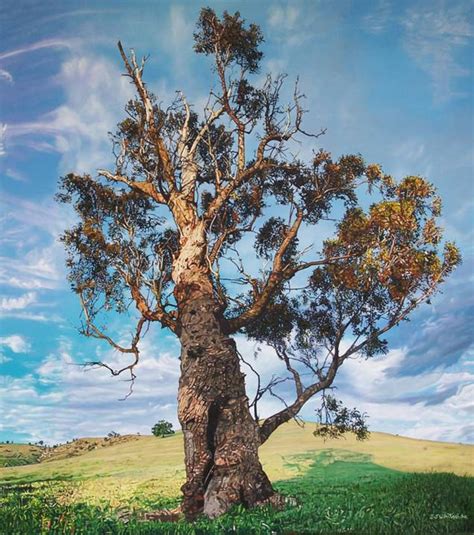 Sandra Whiteside Landscapes In Oil