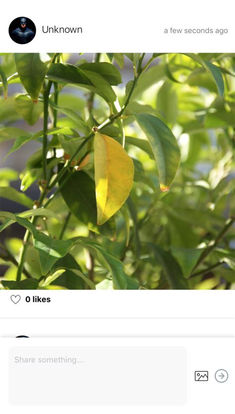 Getstream Io Unable To Post Full Size Image To Timeline Using Python