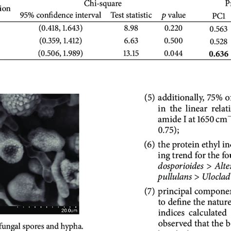 Summary Of The Chi Square Test And Principal Component Analysis Strong Download Table