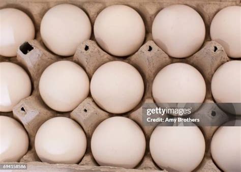 Fired Eggs Photos And Premium High Res Pictures Getty Images