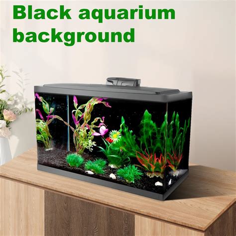 Fish Tank Background Black Fish Tank Background Hi Res Stock