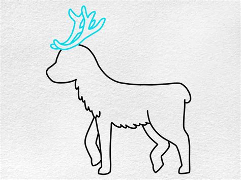 Simple Reindeer Drawings