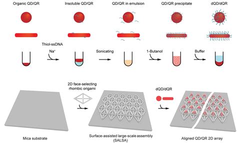 Publications The Macfarlane Lab
