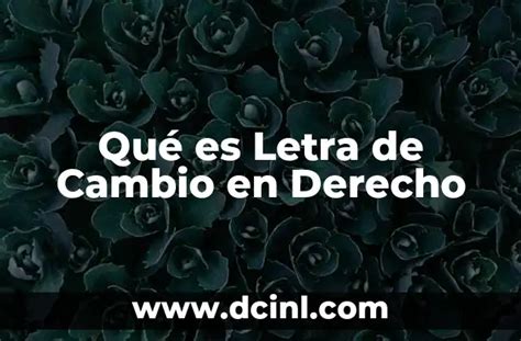 Qué Es Letra De Cambio En Derecho Significado Y Ejemplos