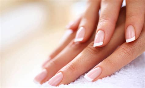 Partes De Las Uñas Y Sus Funciones