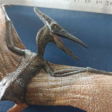 Papo Pteranodon Flying Dinosaur Jurassic Hobbies And Toys Toys And Games On Carousell