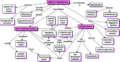 Methodological Guidance For The Elaboration Of A Good Concept Map