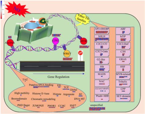 Arabidopsis Research Roundup February 12th Weeding The Gems