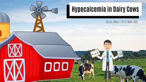 Hypocalcemia In Dairy Cows By Nicole Suszek On Prezi