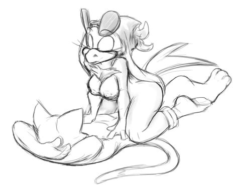 Rule 34 Mel The Hybrid Sonic Series Sonic Riders Sonic The Hedgehog Series Tagme Wave The