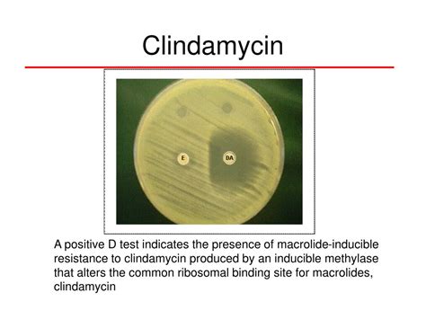 Ppt Antibiotics 101 Powerpoint Presentation Free Download Id4373458