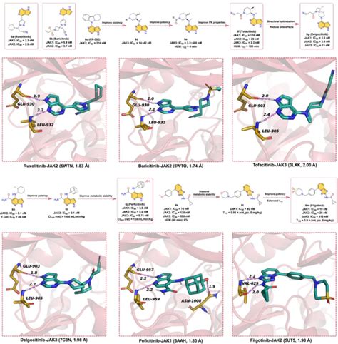 Key Medicinal Chemistry Optimization Of Jaks Inhibitors Along With The