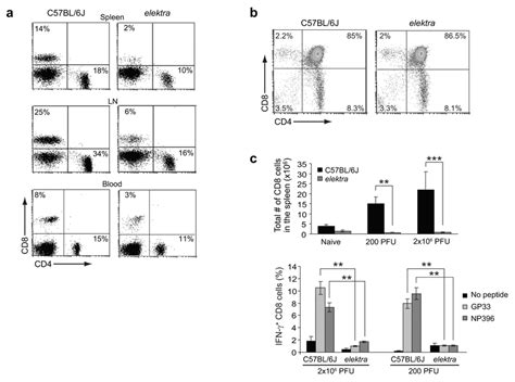 Defect In Peripheral T Cells In Elektra Homozygotes A Cells From Download Scientific Diagram