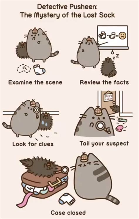 Pusheen Cat Memes At Fernando Crawford Blog