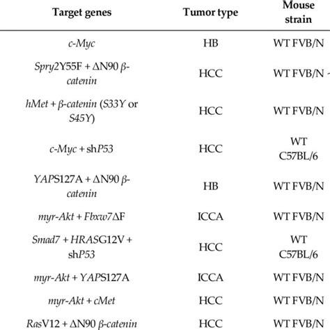 Mouse Models Of Hcc Generated Via Hydrodynamics Based Transfection Download Scientific Diagram