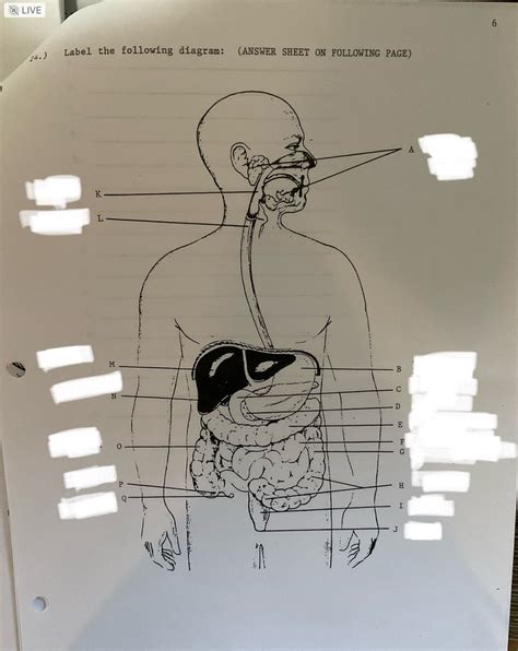 Digestive System Diagram Quizlet