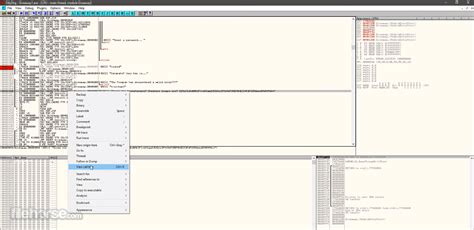 Debugging Win Ollydbg And Packed Files Avatarlasopa