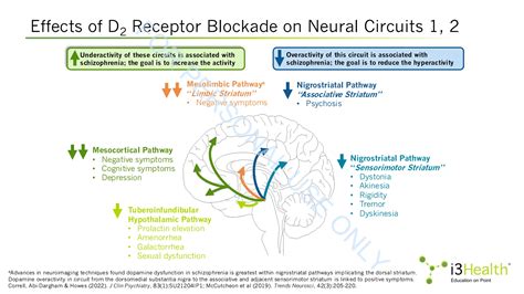 Addressing Positive Negative And Cognitive Symptoms Of Schizophrenia