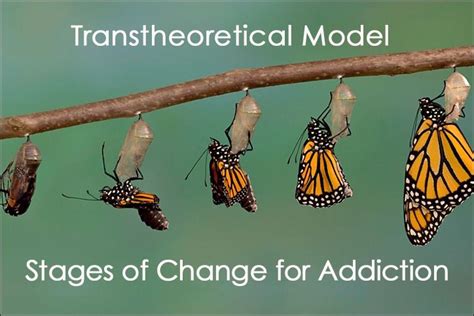 Transtheoretical Model Artofit